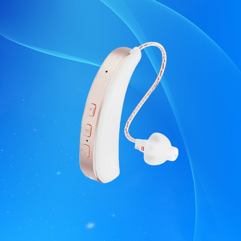 Speech Enhancement Echo Invisible Rechargeable Hearing Aids For ...